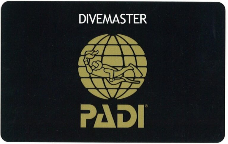New PADI DM 2018 | PADI Dive Center MSU