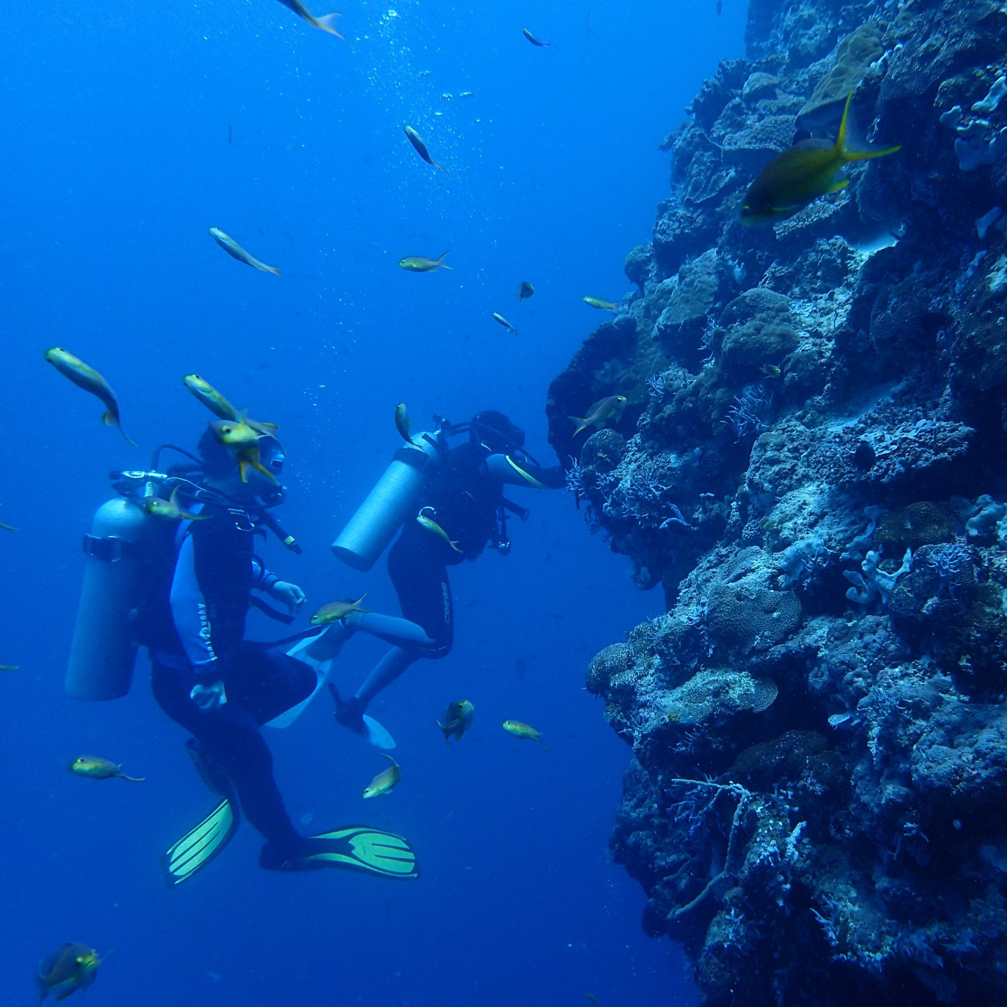 Mactan Island | PADI Dive Center MSU